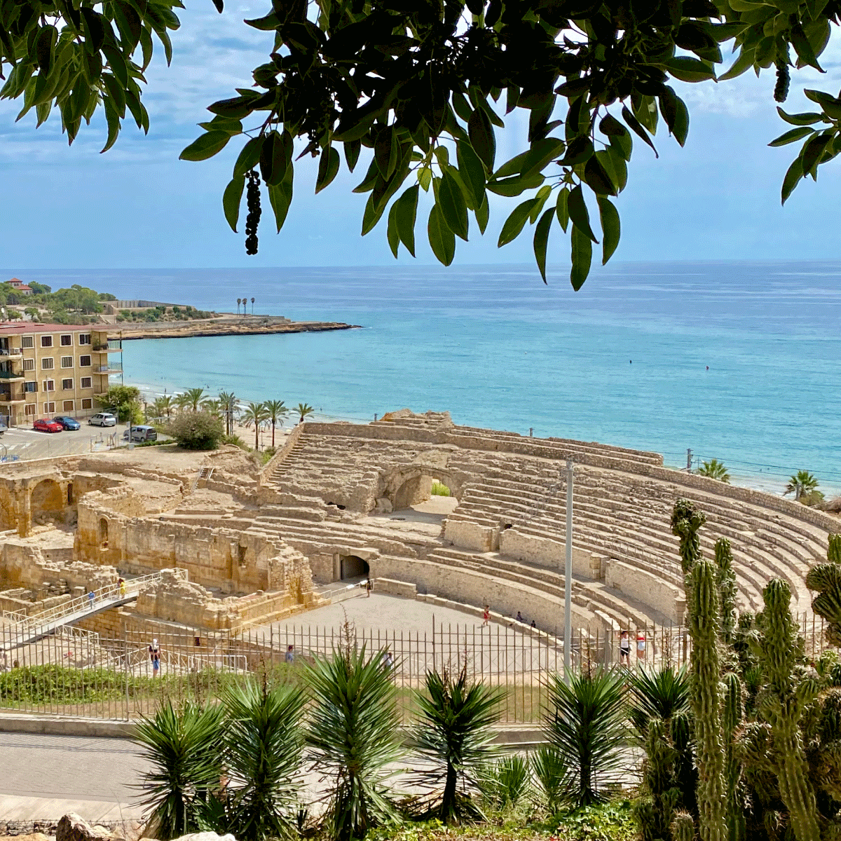 IPG Academy Course | Tarragona 2025